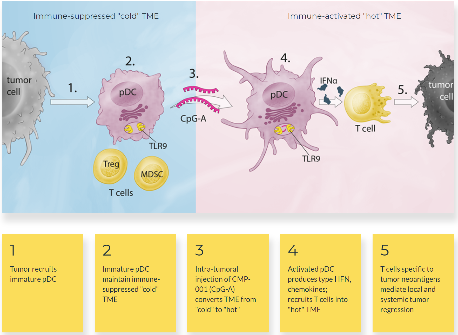 Turning cold Tumors Hot Rationale Major Setback And Promise Turning cold Tumors Hot Rationale Major Setback And Promise