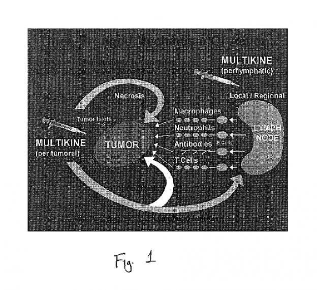 Experimental Front-Line Treatment for Head & Neck Cancer in Phase III ...