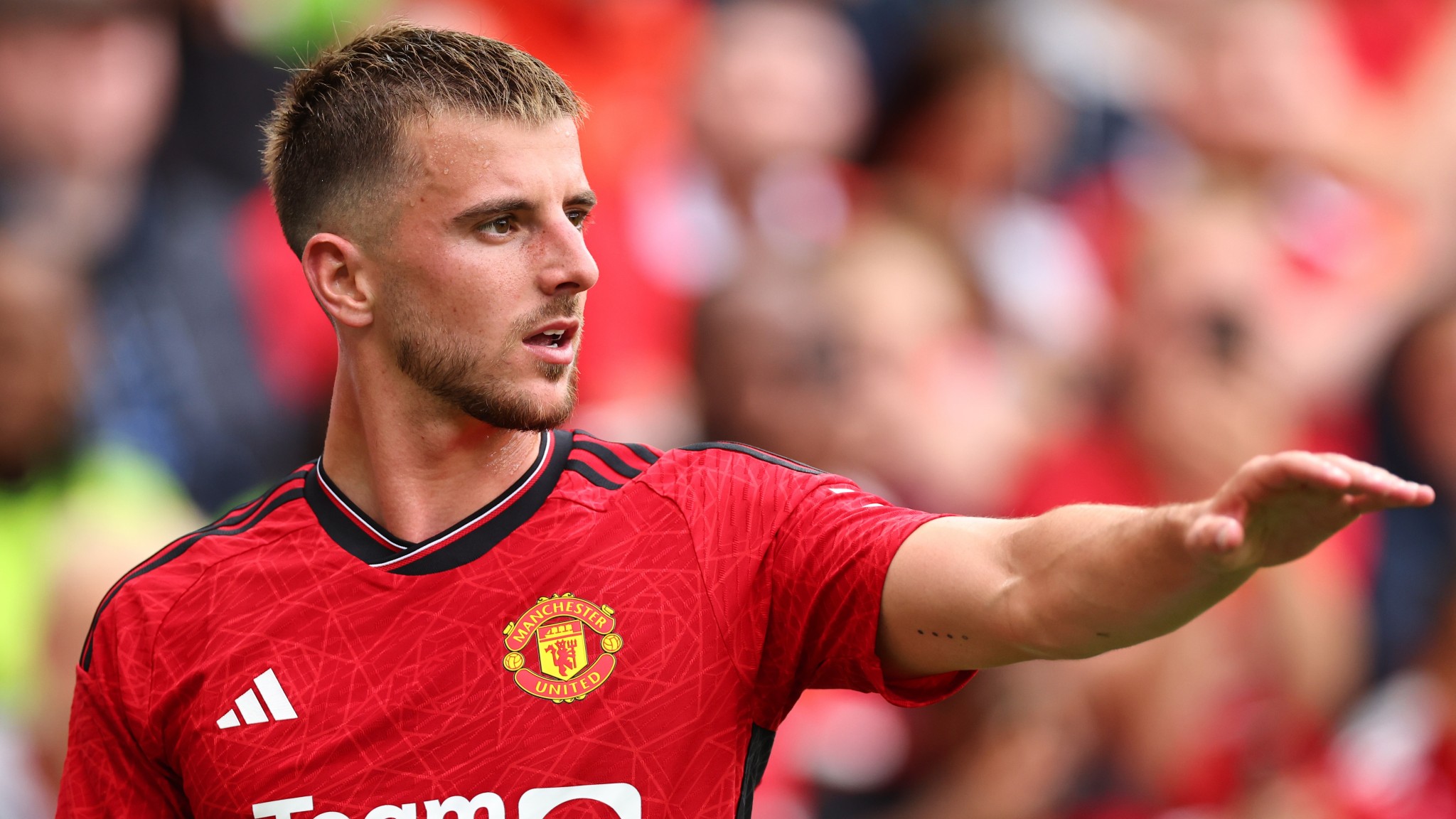 UEFA Champions League Preview – The Stillman Exchange