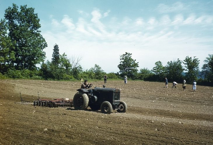 Farmers suffer in the face of mounting war needs | World War 2.0